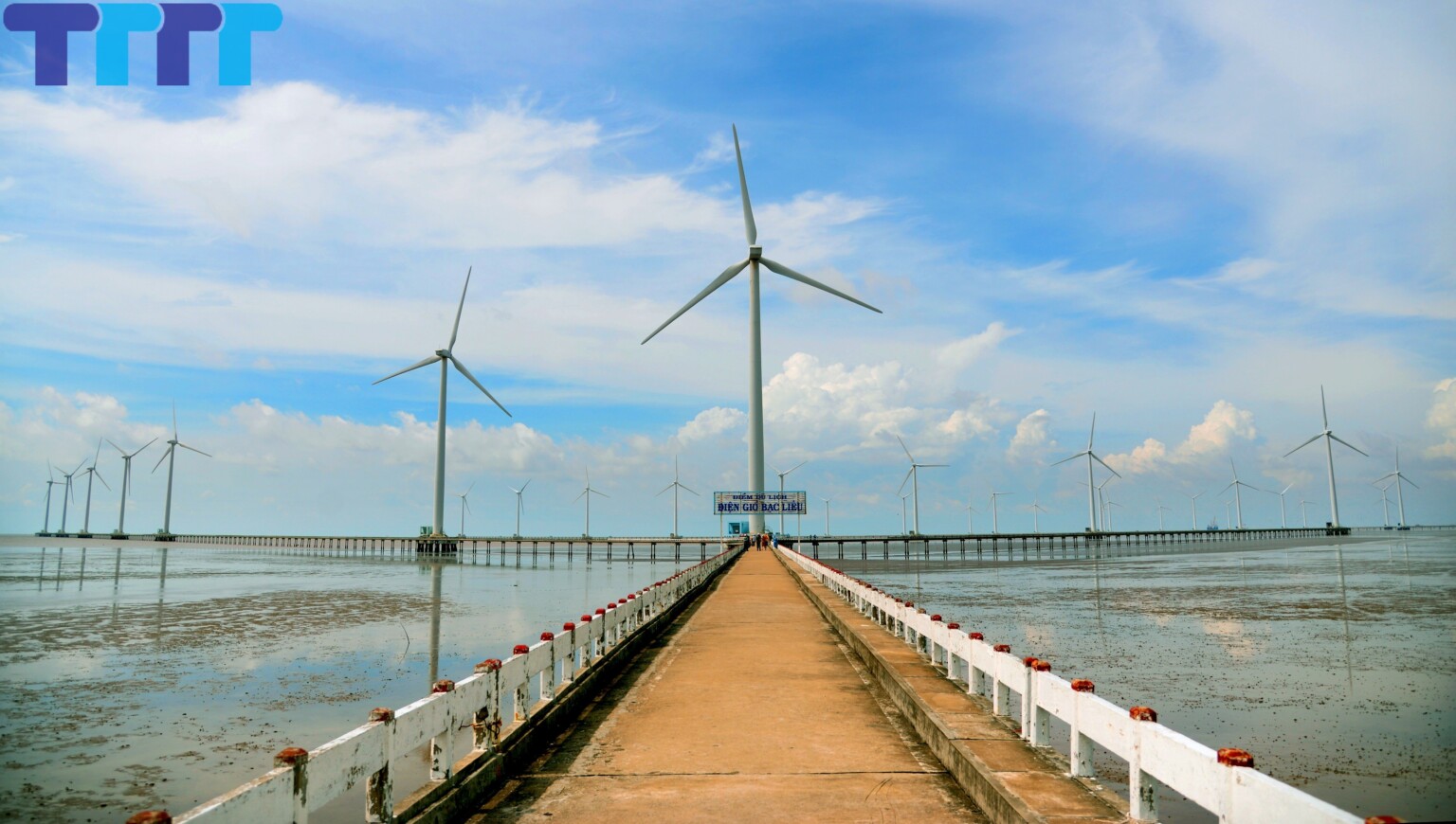 Suggestion for developing wind power plants in Vietnam