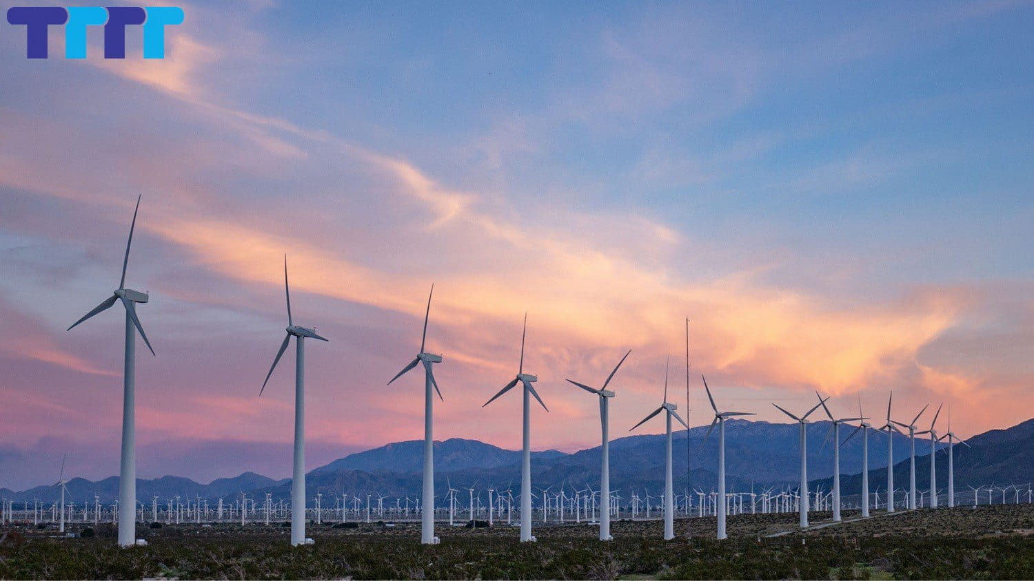 Danh sách các dự án điện gió tại Việt Nam